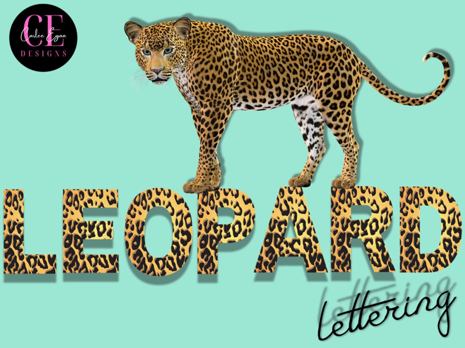Leopard Print Letters and Numbers, Leopard Print Alphabet, Leopard ...