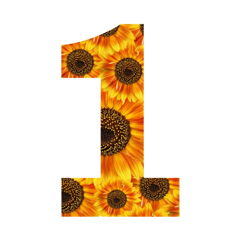 Sunflowers Letters and Numbers, Sunflowers Alphabet, Sunflowers Digital ...
