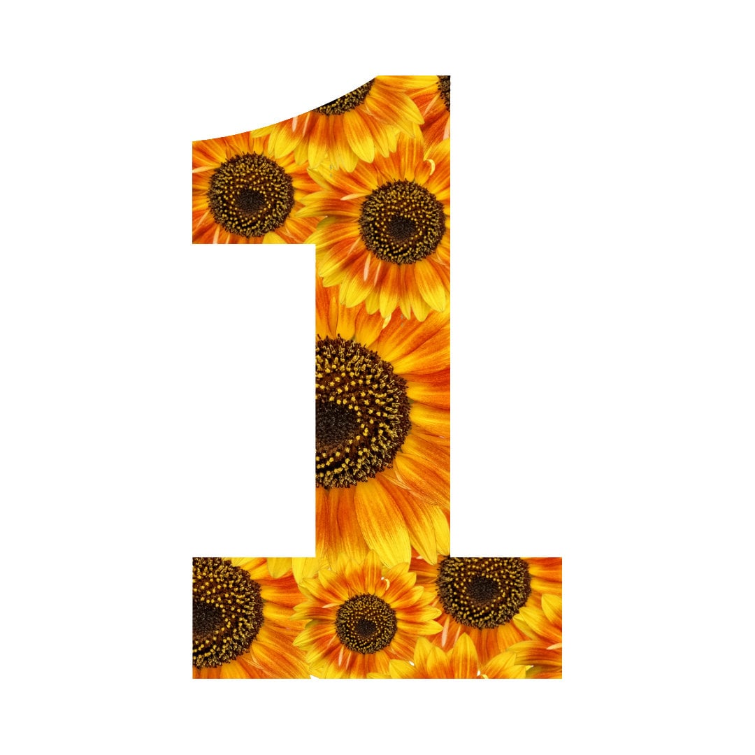 Sunflowers Letters and Numbers, Sunflowers Alphabet, Sunflowers Digital ...
