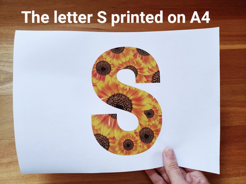 Sunflowers Letters and Numbers, Sunflowers Alphabet, Sunflowers Digital ...