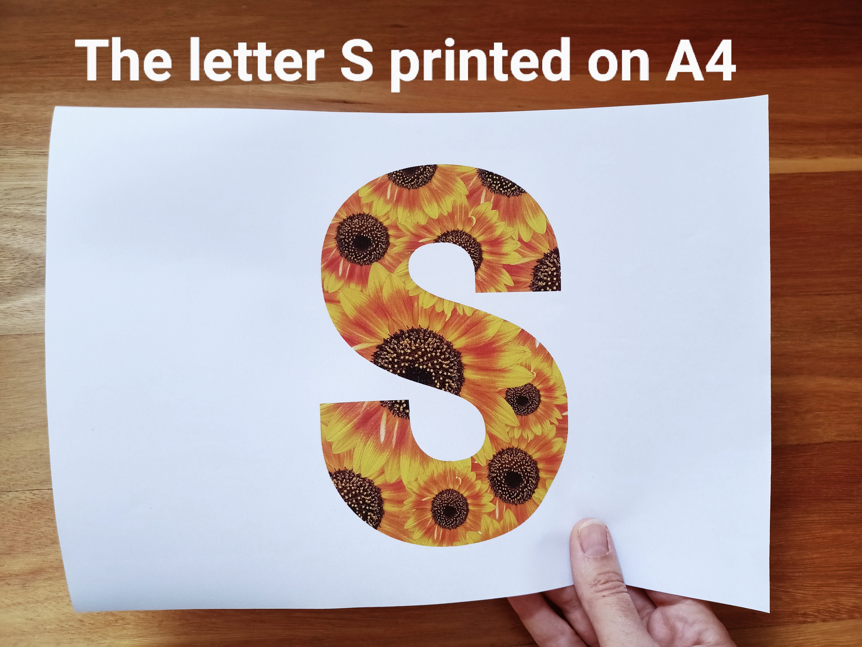 Sunflowers Letters and Numbers, Sunflowers Alphabet, Sunflowers Digital ...