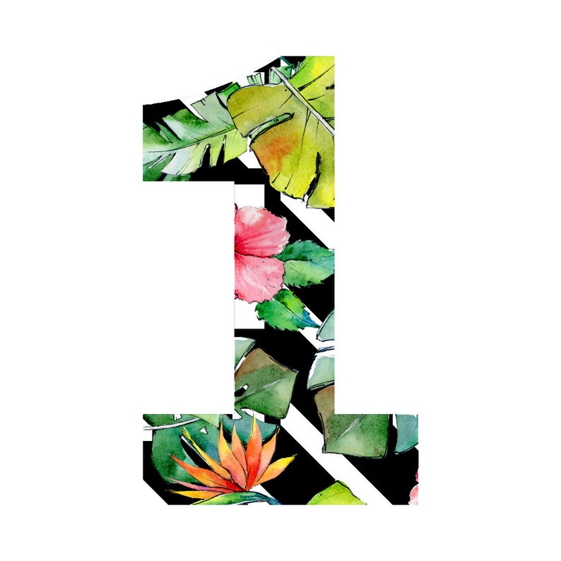 Tropical Letters and Numbers, Tropical Alphabet, Tropical Digital ...
