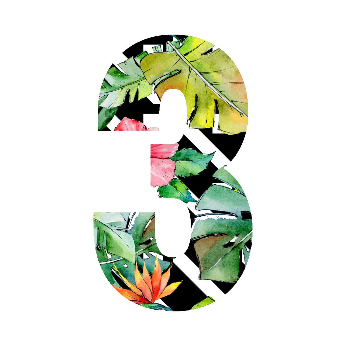Tropical Letters and Numbers, Tropical Alphabet, Tropical Digital ...