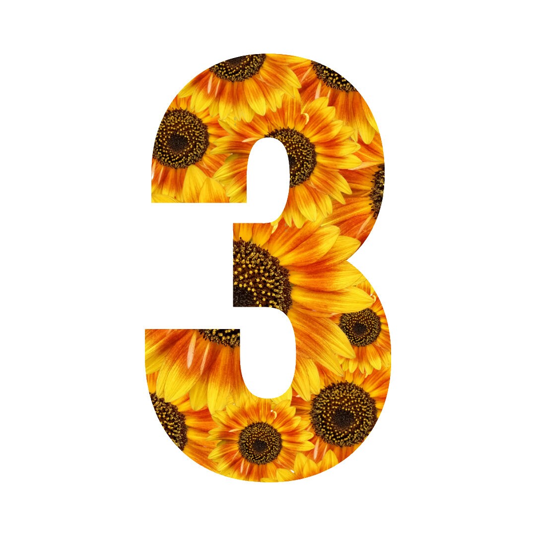 Sunflowers Letters and Numbers, Sunflowers Alphabet, Sunflowers Digital ...