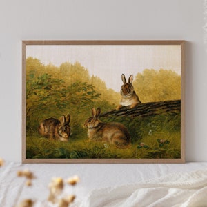 Rabbit Vintage Art Print, Animal Print, Nursery Wall Art, Bunny Rabbit ...