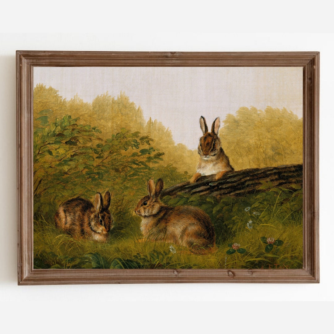 Rabbit Vintage Art Print, Animal Print, Nursery Wall Art, Bunny Rabbit ...