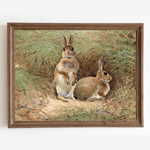 Rabbit Vintage Animal Print Nursery Wall Art Bunny - Etsy
