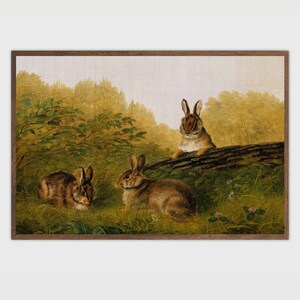 Rabbit Vintage Art Print, Animal Print, Nursery Wall Art, Bunny Rabbit ...