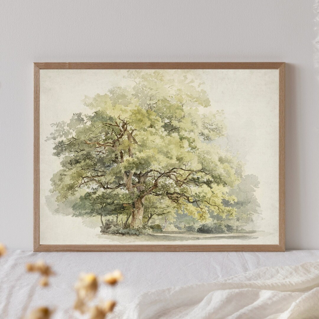 Vintage Oak Tree Drawing, Landscape Tree Painting, Antique Botanical ...