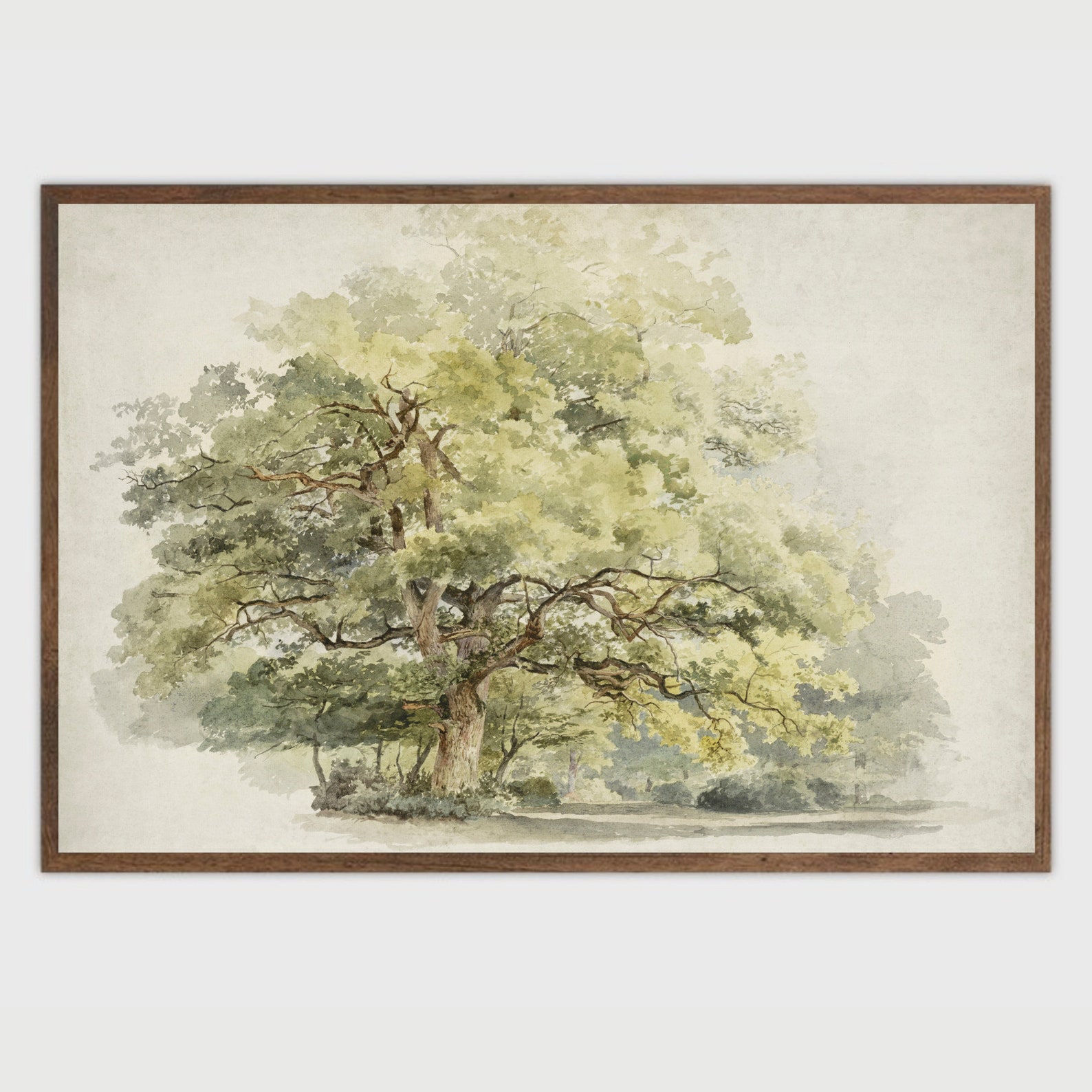 Vintage Oak Tree Drawing Landscape Tree Painting Antique | Etsy