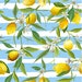 Lemon Capri Removable Wall Paper | Lemon Tree Wall Paper | Lemons and ...