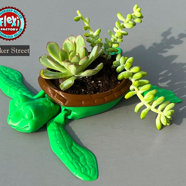 3d Printed Turtle Planter - Etsy
