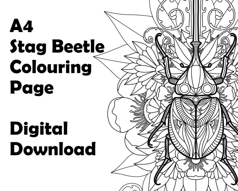 Stag Beetle Colouring Page Printable A4 Size Insect Coloring Page for ...