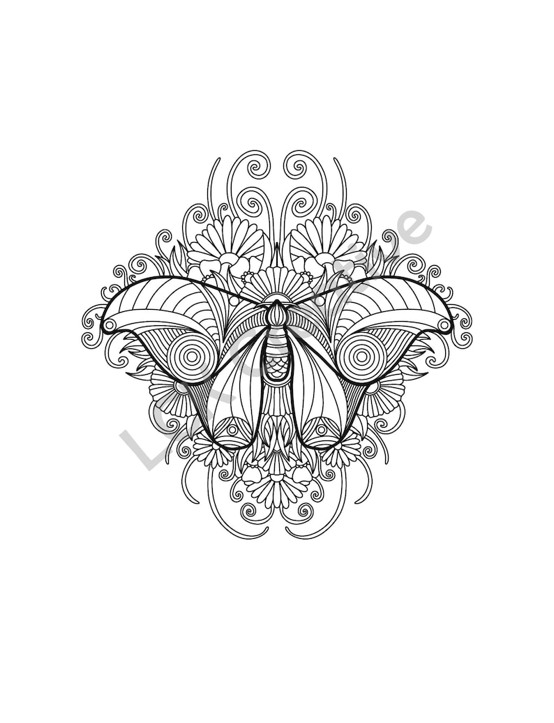 A4 Printable Lunar Moth Colouring Page With Geometric Pattern, A4 Size ...