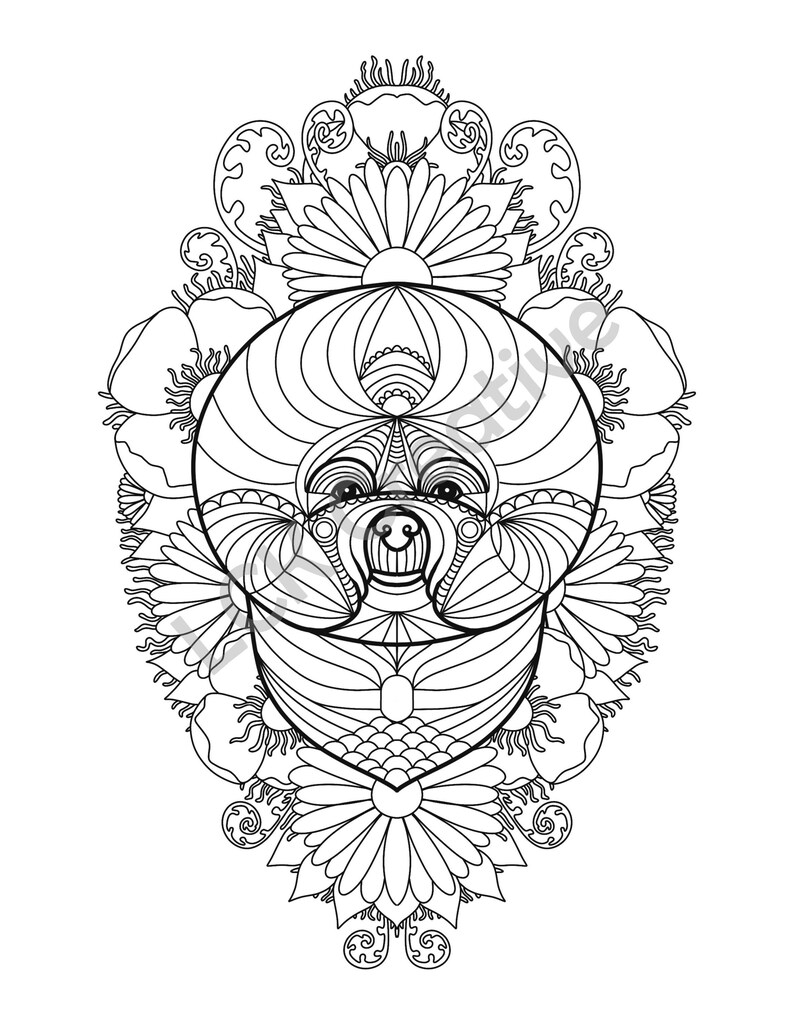 Bichon Frise Colouring Page Printable Geometric Pattern With Flowers ...