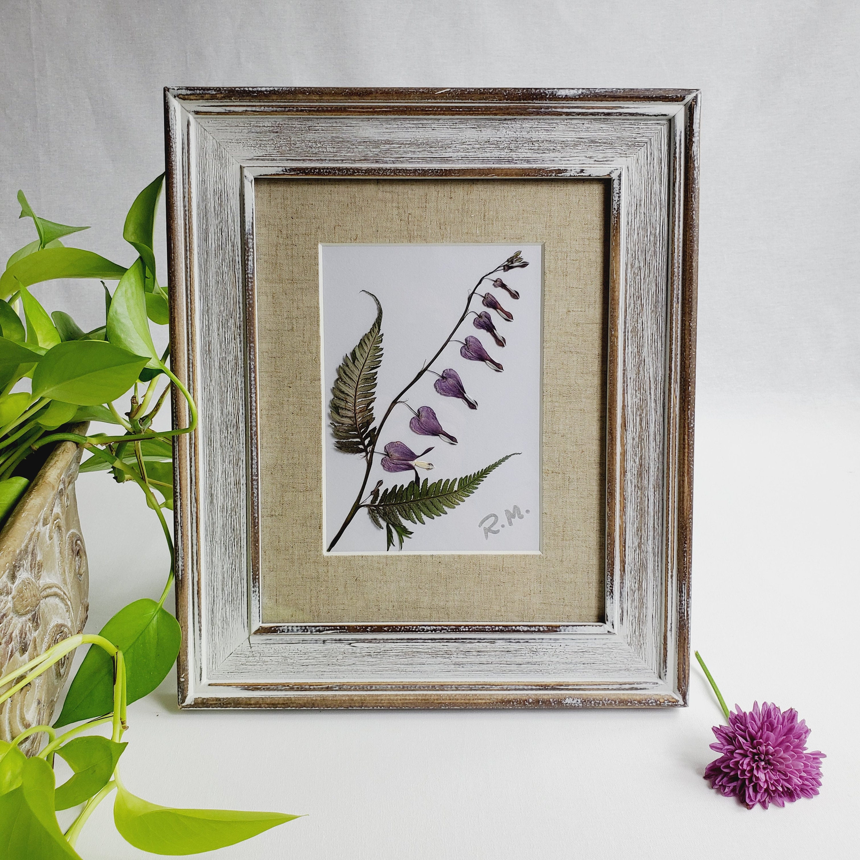 Pressed Dried Stem of Bleeding Hearts Flowers With Ferns in a Rustic ...