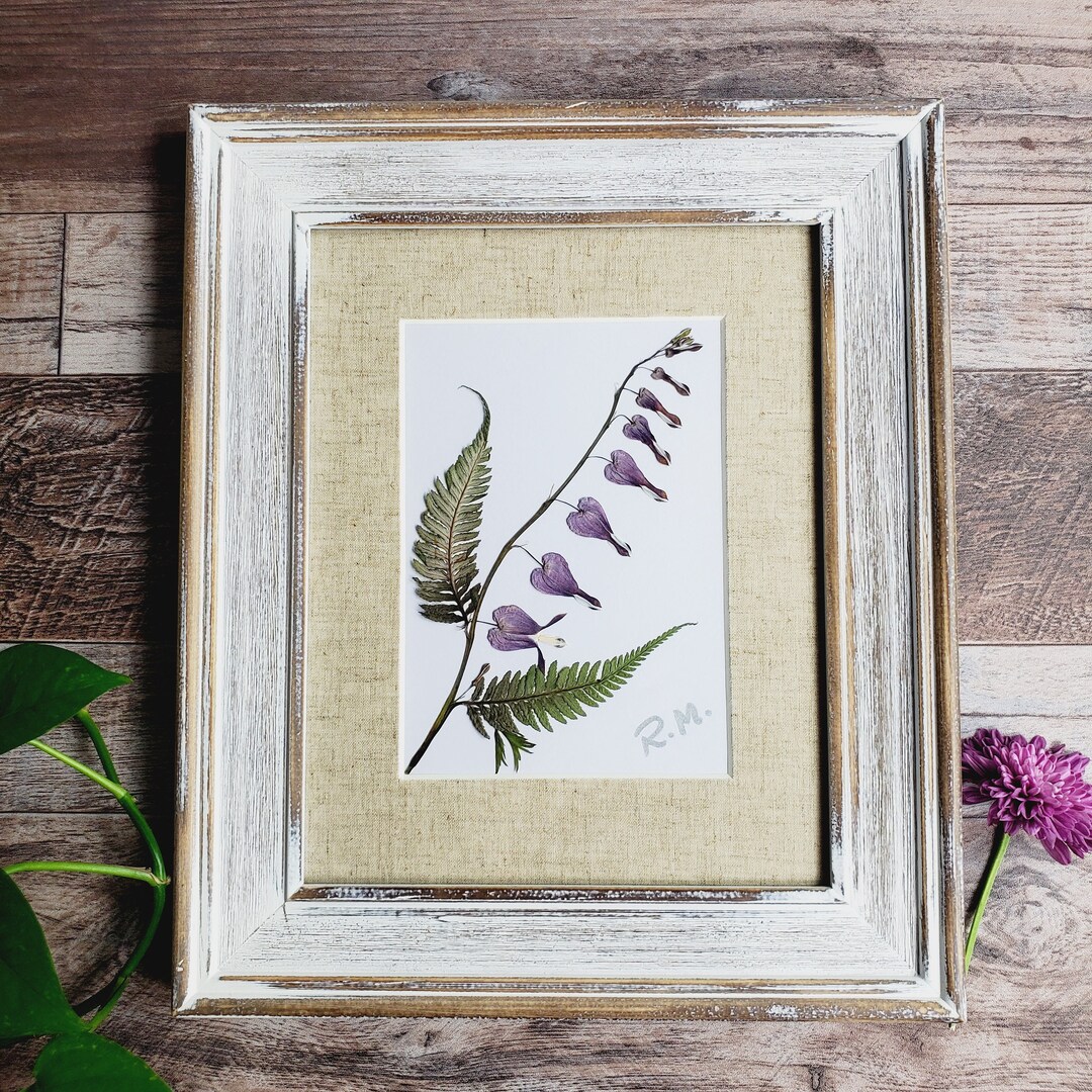 Pressed Dried Stem of Bleeding Hearts Flowers With Ferns in a Rustic ...