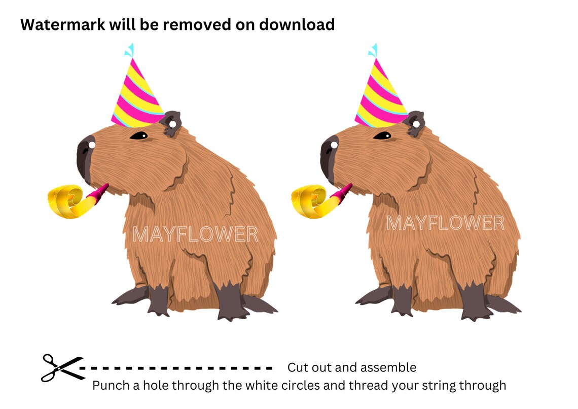 Capy Birthday Banner Bunting Digital Download Capybara Party Wall ...