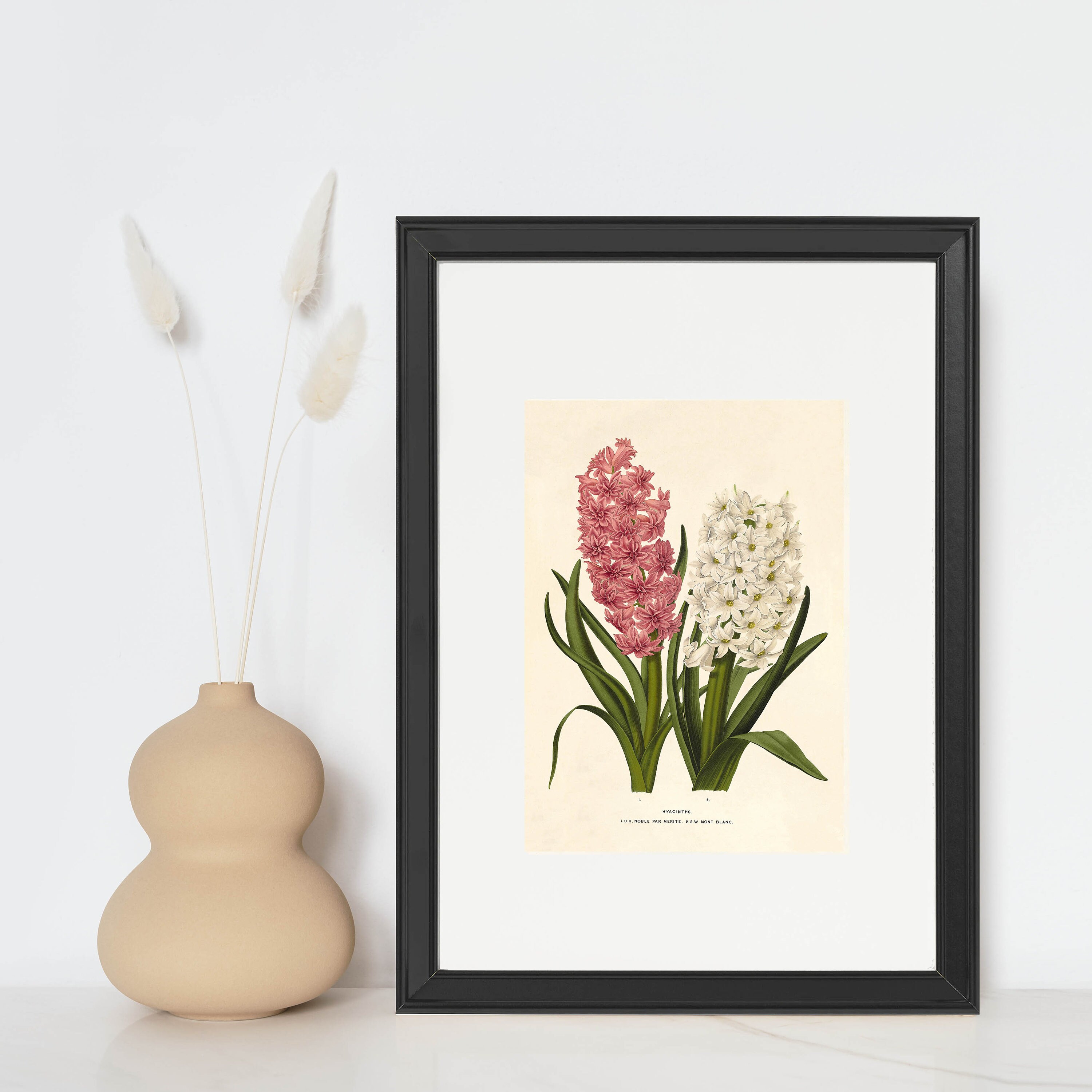 Hyacinth Flowers Giclee Fine Art Print - Framed / Unframed - Etsy