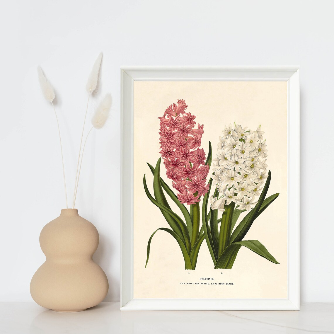 Hyacinth Flowers Giclee Fine Art Print - Framed / Unframed - Etsy