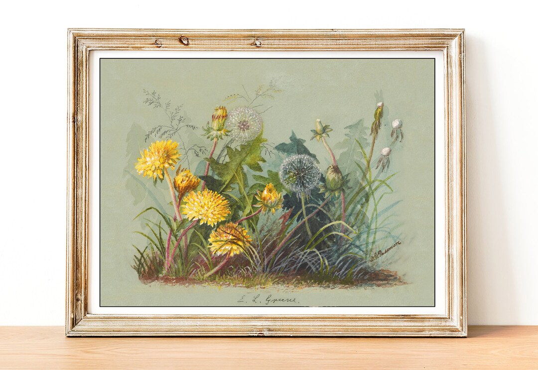 Dandelions Vintage Lithograph (c. 1911) - Giclee Fine Art Print ...