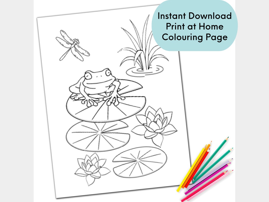 Printable Frog Coloring Page for Kids, Pond Colouring Sheet, Instant ...