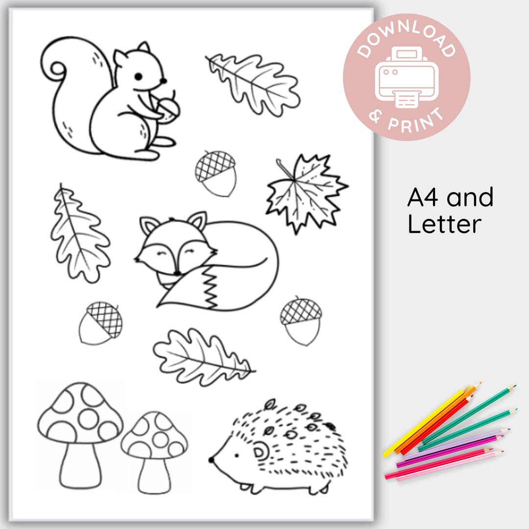 Woodland Animal Coloring Page for Kids, Printable Autumn Fall Seasons ...
