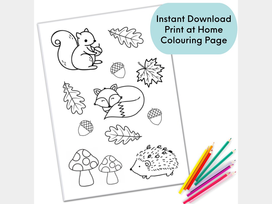 Printable Woodland Animal Coloring Page for Kids, Autumn Fall Seasons ...