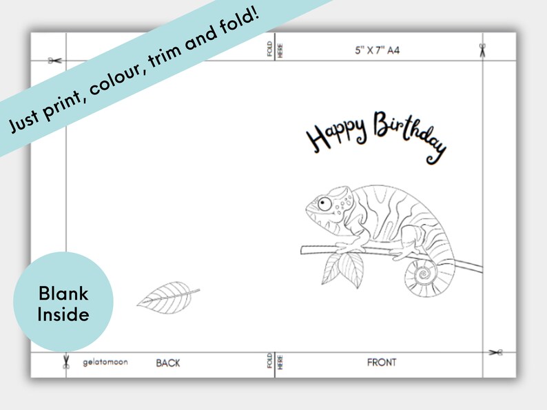 Chameleon Birthday Card for Kids, Printable Colouring Birthday Card ...