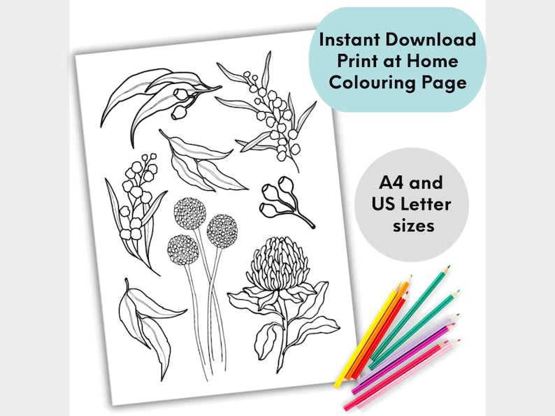 Australian Flowers Coloring Page, Printable Native Flower Colouring ...