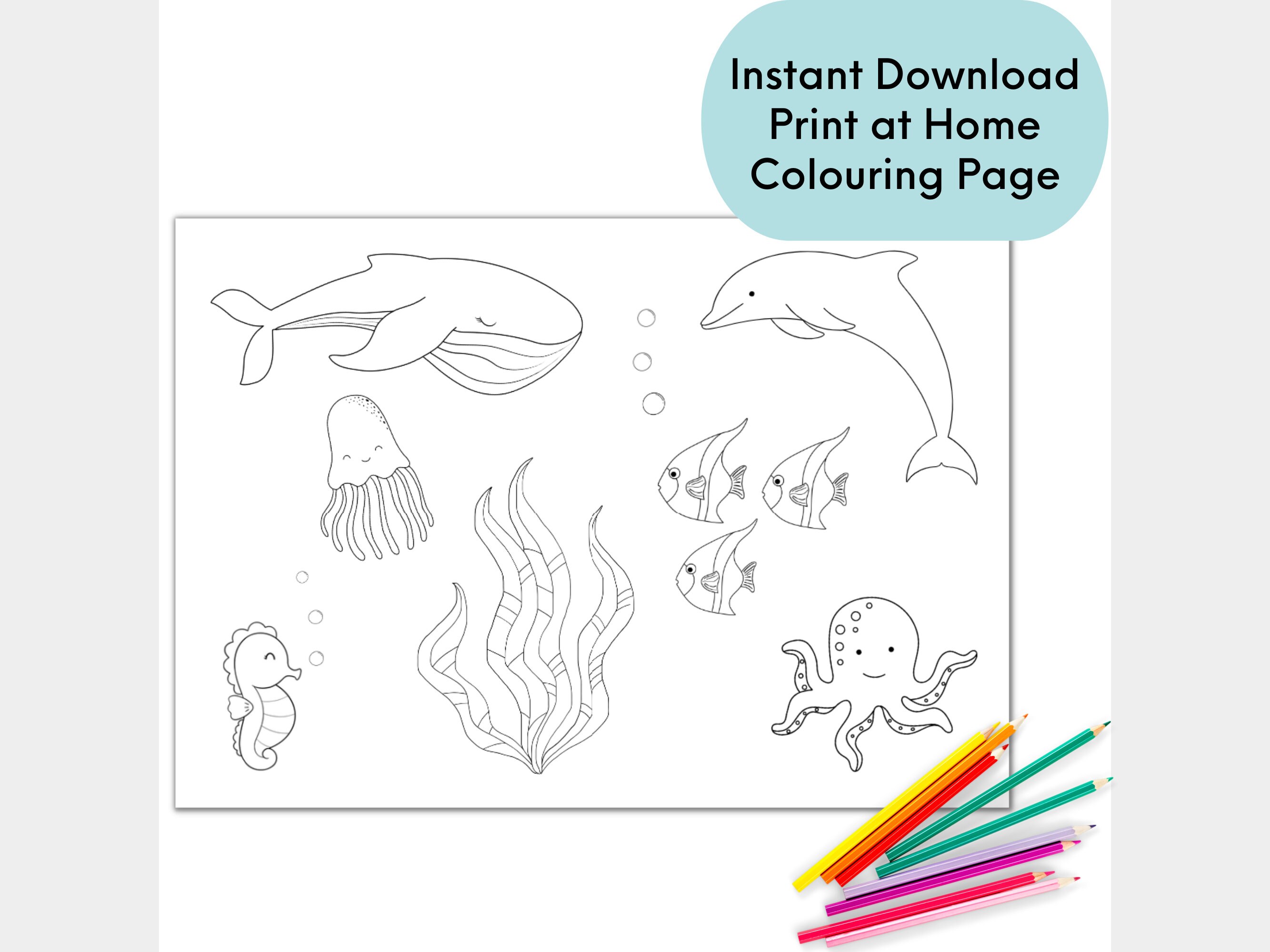Printable Colouring Page Sea Creatures Colouring Kids - Etsy