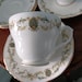 Duchess Romana Bone China Tea Cup and Saucer - Etsy