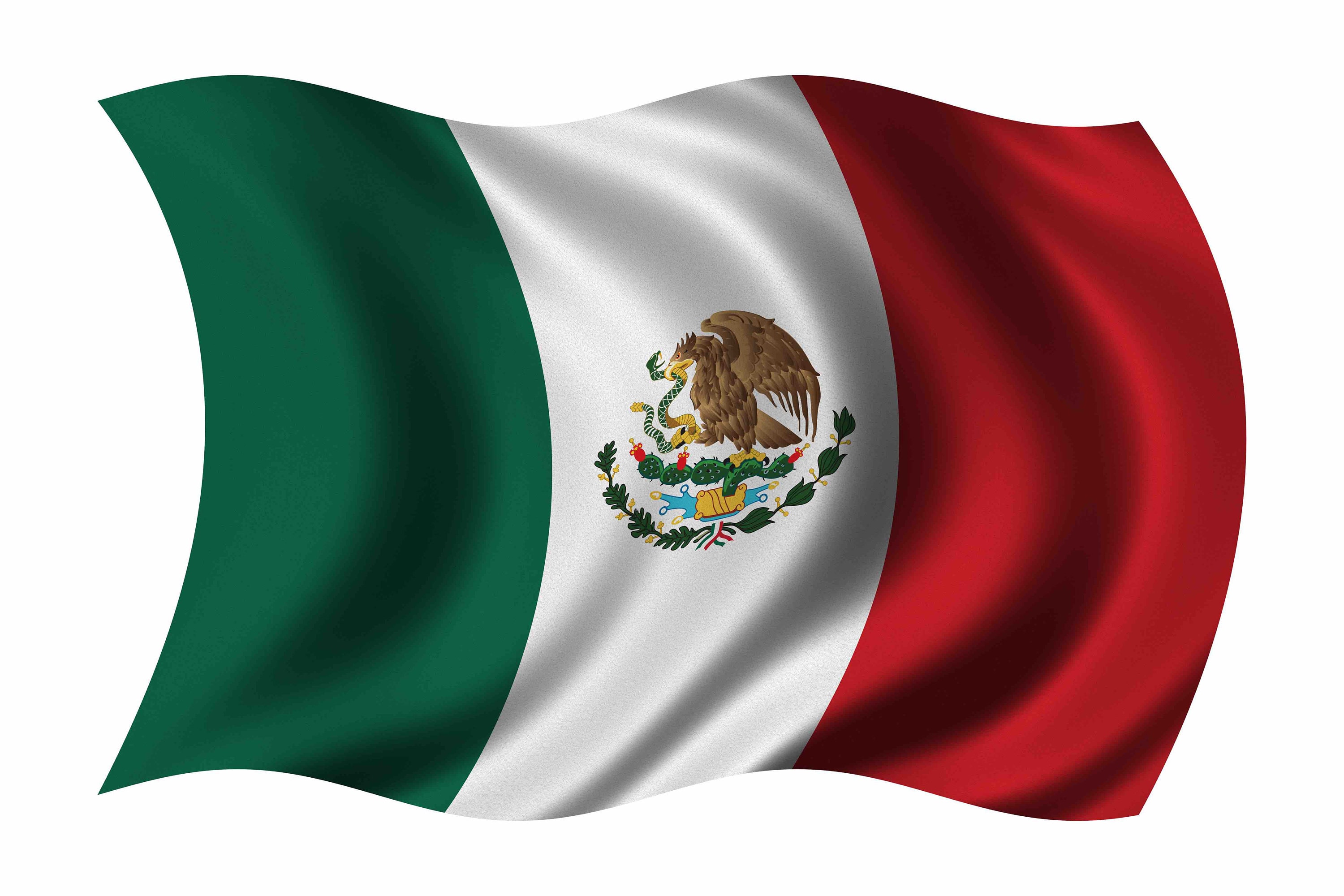 Mexico Flag Sticker Decal Bandera Car Desktop Bandera De | Etsy