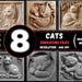 Cat 3D Illusion Laser Engraving PNG Bundle, Cat Laserburn/lightburn ...
