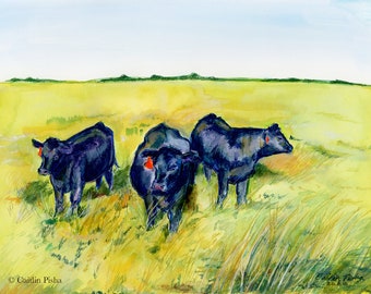 Angus Cattle Art - Etsy