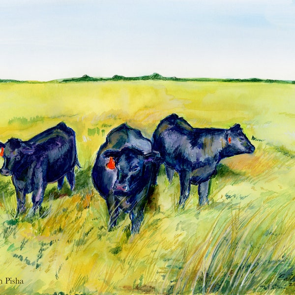 Angus Cattle Art - Etsy