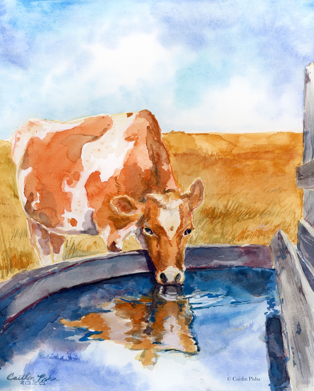 Bessie the Guernsey, Cow on the Prairie, Fine Art Print, Watercolor ...