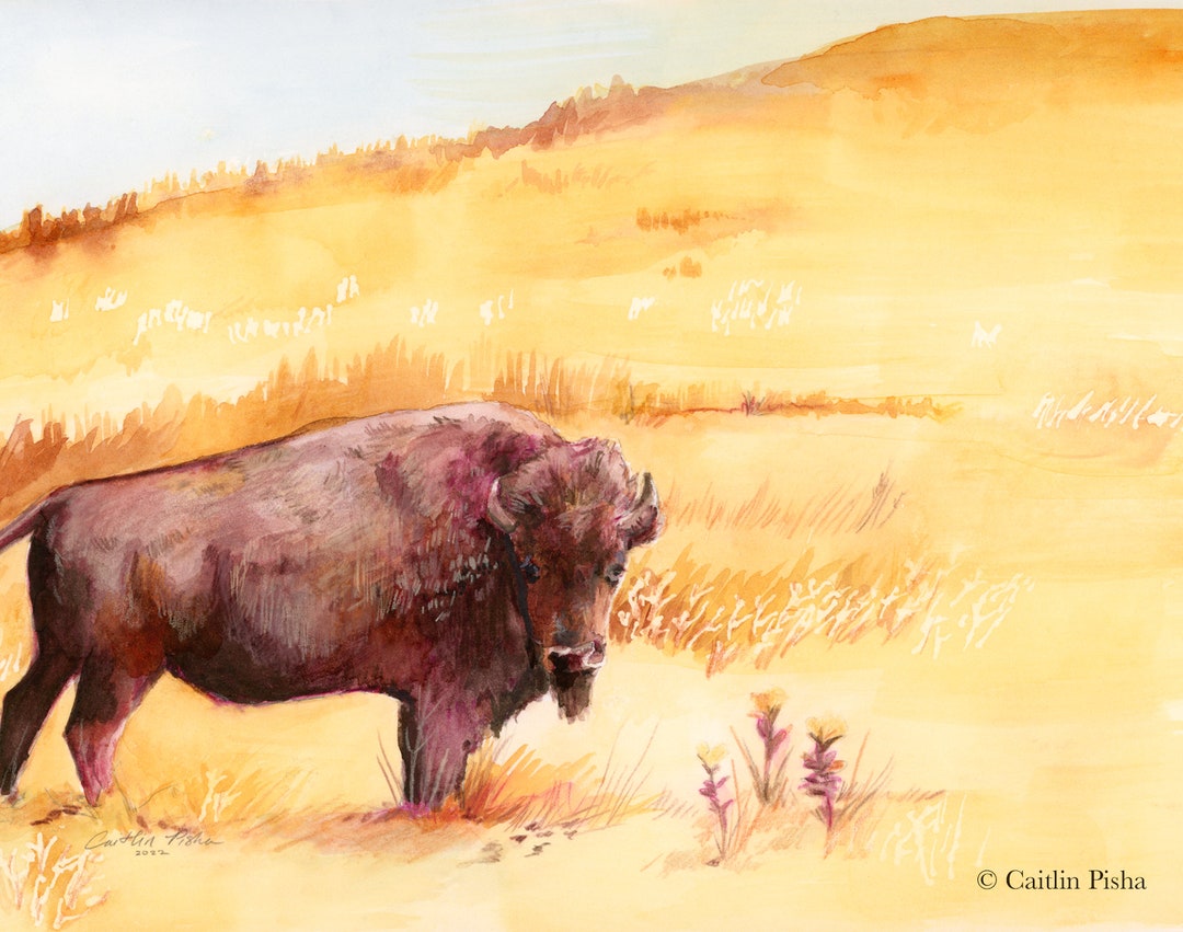 Buffalo on the Prairie, Bison, Fine Art Print, Watercolor, Title ...