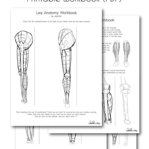 Leg Anatomy Workbook (printable PDF) - Etsy