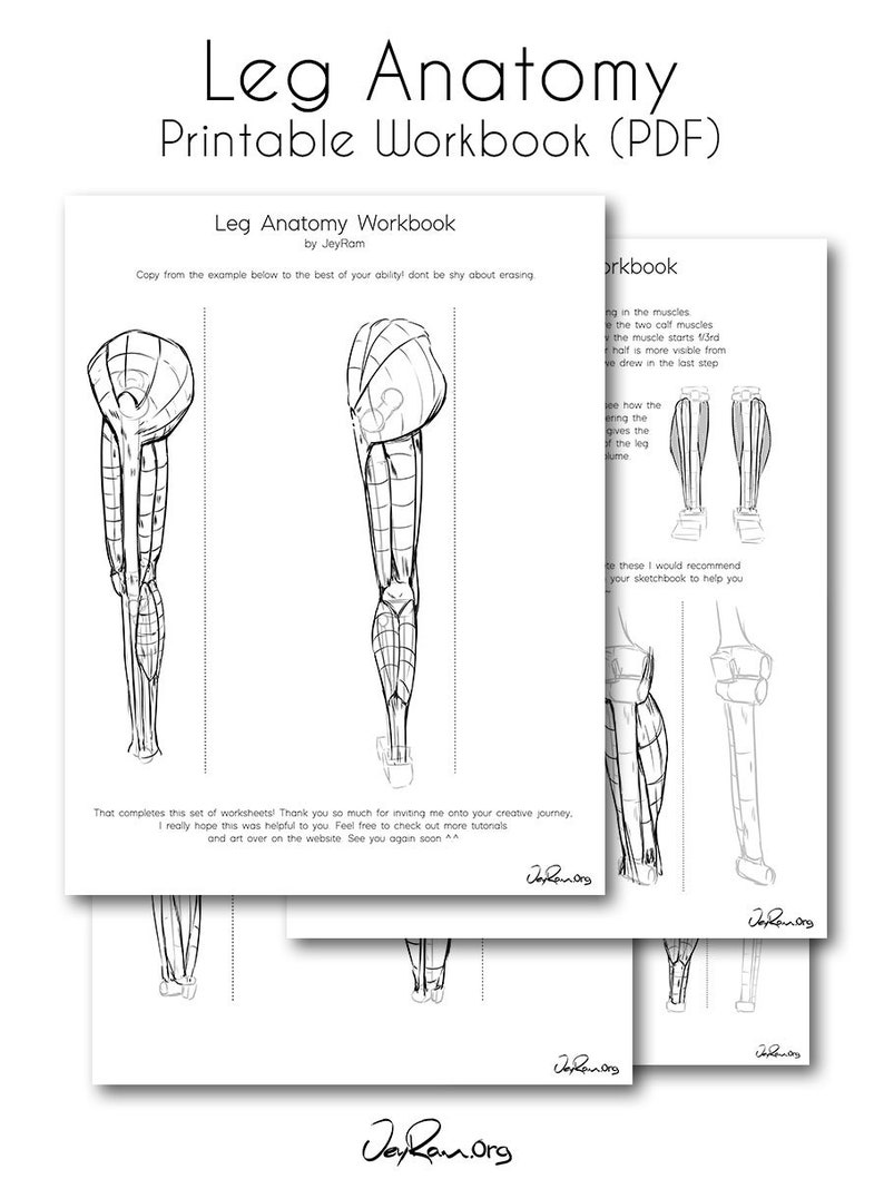 Leg Anatomy Workbook (printable PDF) - Etsy
