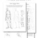 Figure Drawing Basics Book (printable PDF) - Etsy