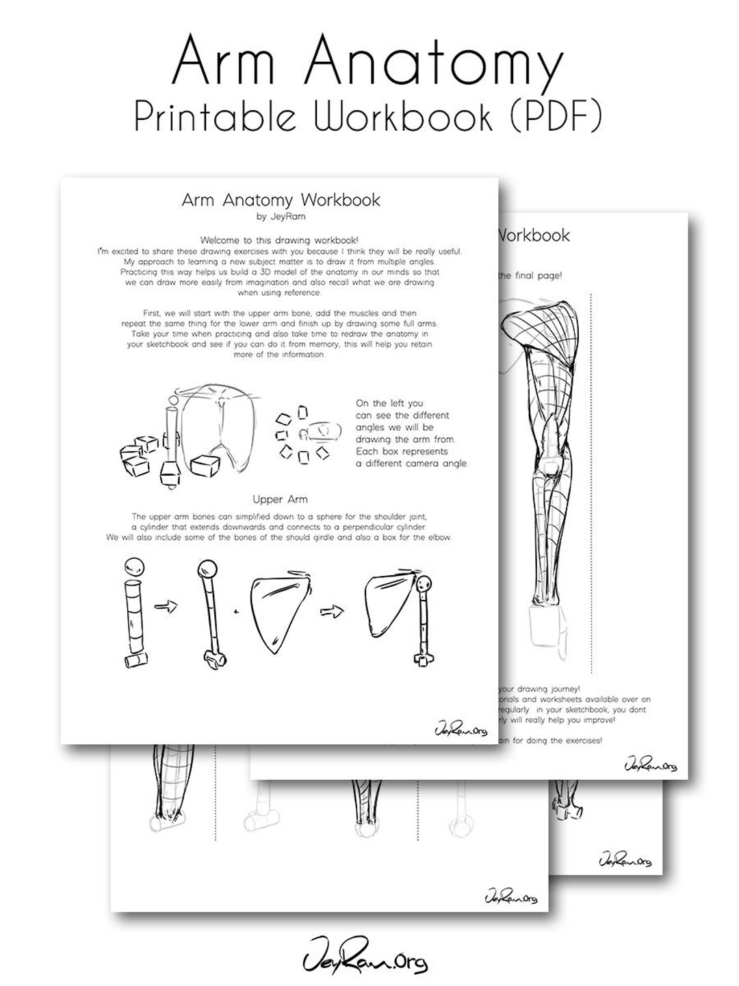 Arm Anatomy Workbook (printable PDF) - Etsy