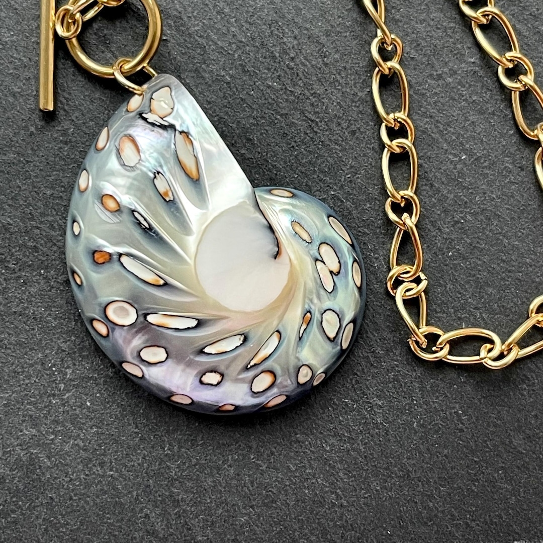 Nautilus Shell Pendant, Chunky Gold Chain Necklace for Women, Real ...
