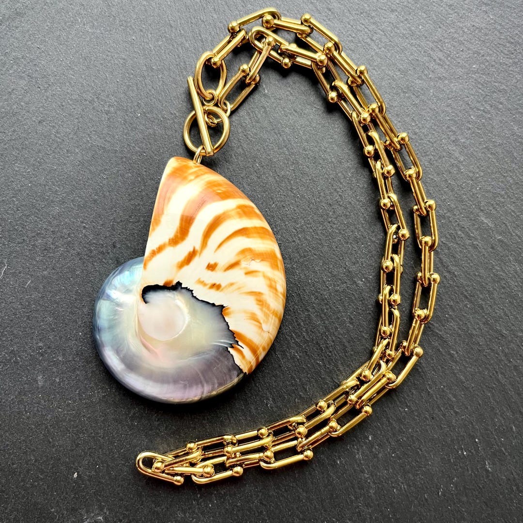 Nautilus Shell Pendant Necklace for Women, Chunky Gold Chain, Real ...