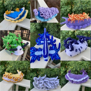 Nudibranch - Etsy