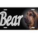 Blood Hound Vanity Dog License Plate - Auto Tag - Create Your Own ...