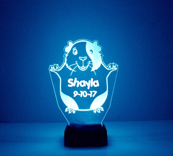 Hamster Powered Night Light