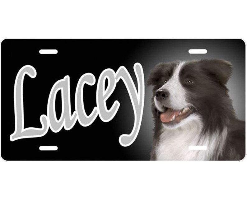 Border Collie Vanity Dog License Plate Auto Tag Create - Etsy
