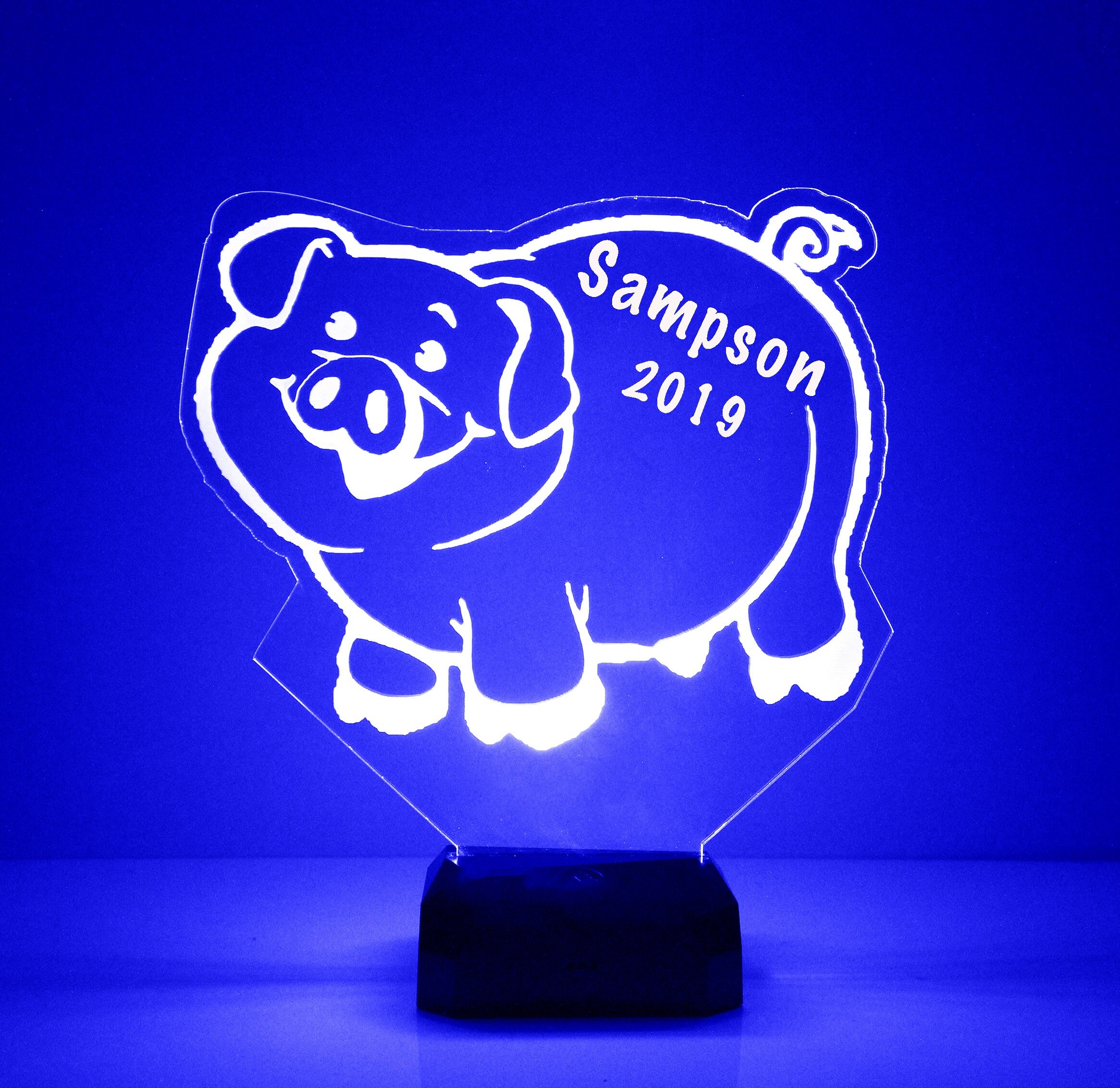Pig Night Light, Personalized Free, LED Night Lamp, With Remote Control ...