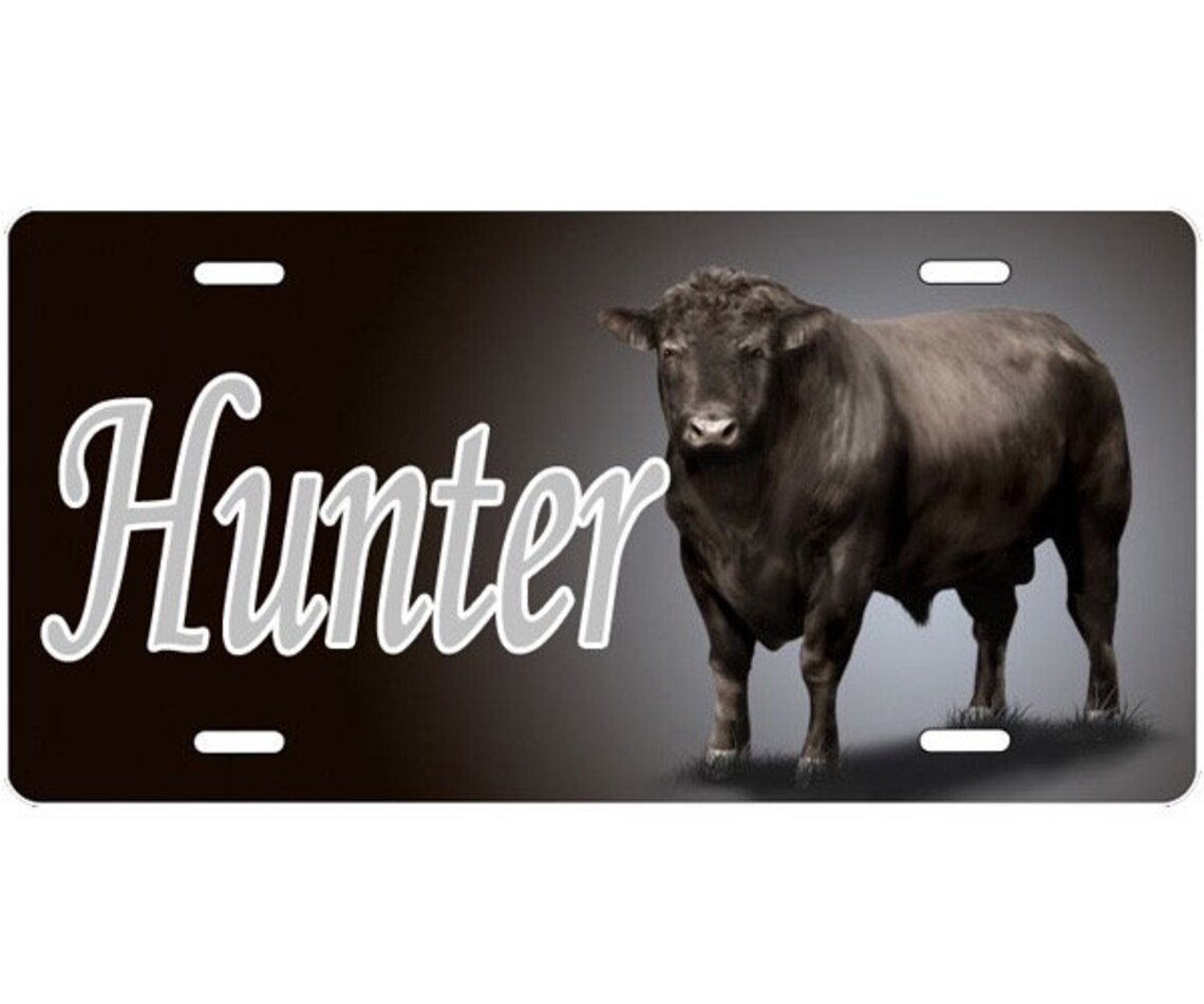 Vanity Panda Bear License Plate Auto Tag Create Your Own | Etsy